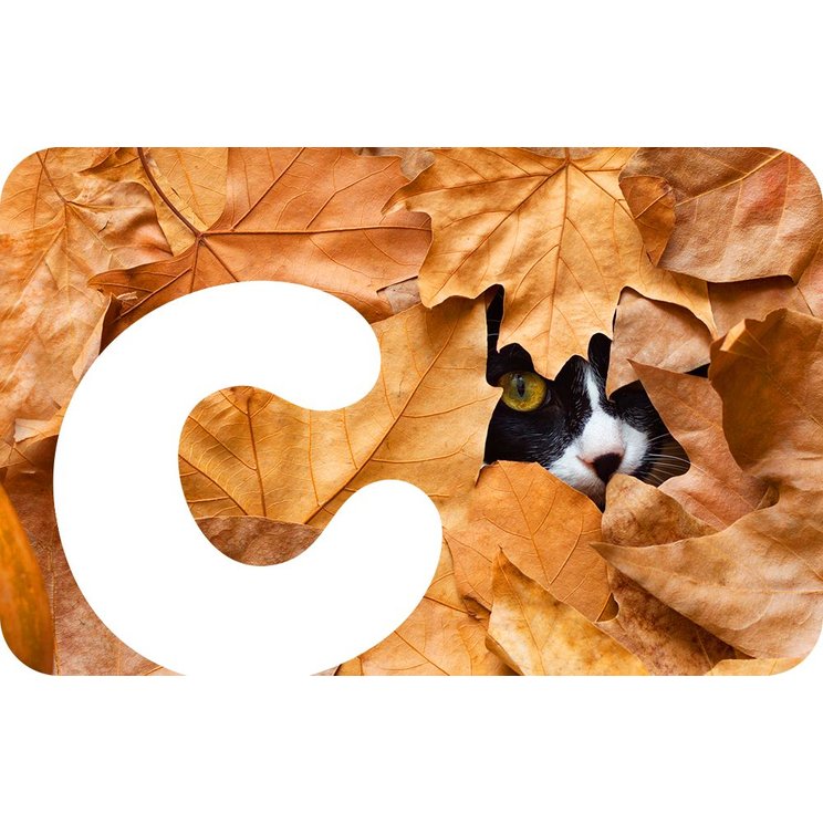 Chewy Gift Cards - Free shipping | Chewy Chewy Gift Cards - Free shipping | Chewy