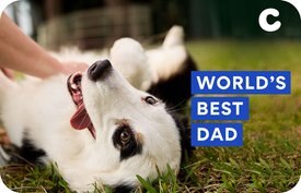 CHEWY eGift Card, Purr-fect Gift, $75 - Chewy.com