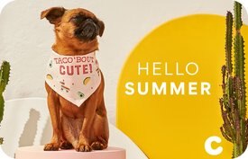 Chewy eGift Cards For Pet Lovers | Chewy