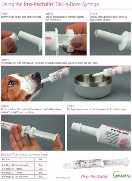 VETOQUINOL Pro-Pectalin Diarrhea Supplement for Dogs & Cats, 15-cc ...