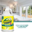 ODOBAN Concentrate Lemon Disinfectant, 1-gal - Chewy.com