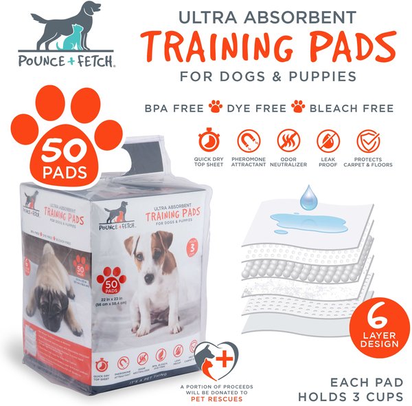 POUNCE + FETCH Ultra Absorbent Dog Training Pads, 50 count - Chewy.com