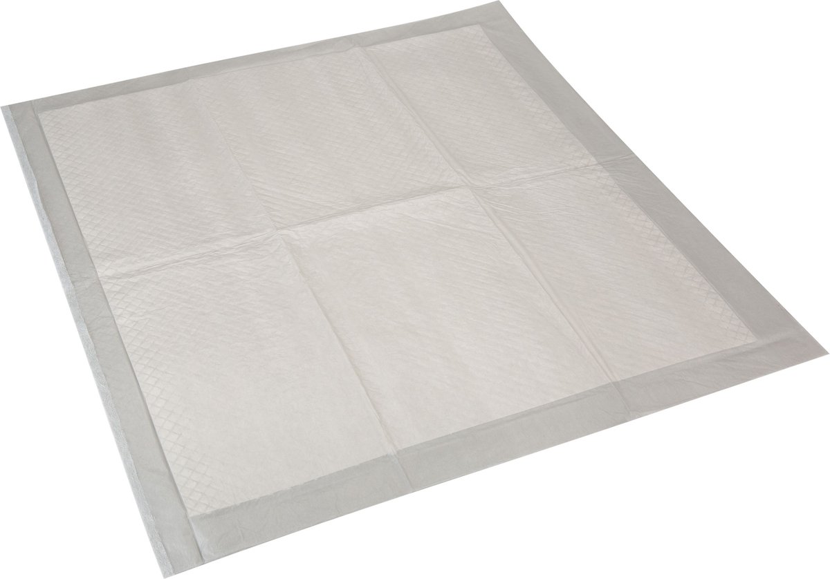 POUNCE + FETCH Ultra Absorbent Dog Training Pads, 100 count - Chewy.com