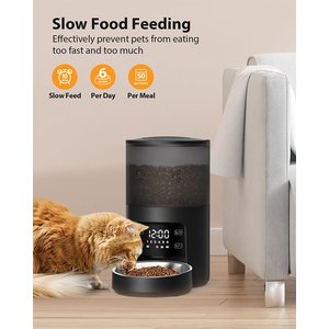 10 Best Automatic Dog Feeders & Treat Dispensers 2024: According to ...