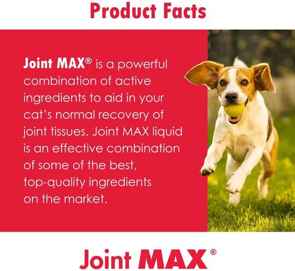 JOINT MAX Triple Strength Soft Chews for Dogs, 120 count - Chewy.com