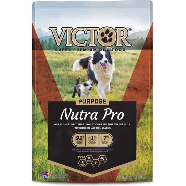 VICTOR Purpose Nutra Pro Dry Dog Food, 5-lb bag, bundle of 2 - Chewy.com