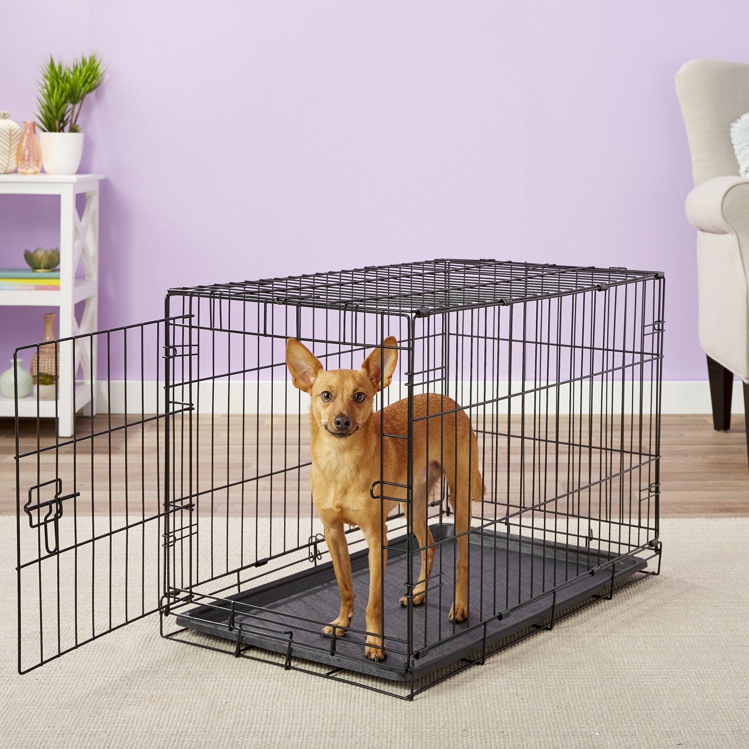 CARLSON PET PRODUCTS Secure & Compact Single Door Collapsible Wire Dog ...