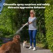 PETSAFE Spray Shield Animal Deterrent Spray - Chewy.com