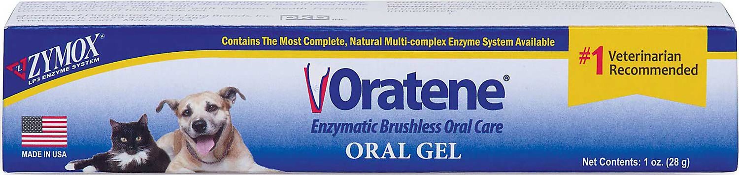 ORATENE Enzymatic Brushless Oral Care Dog & Cat Dental Gel, 1-oz tube ...