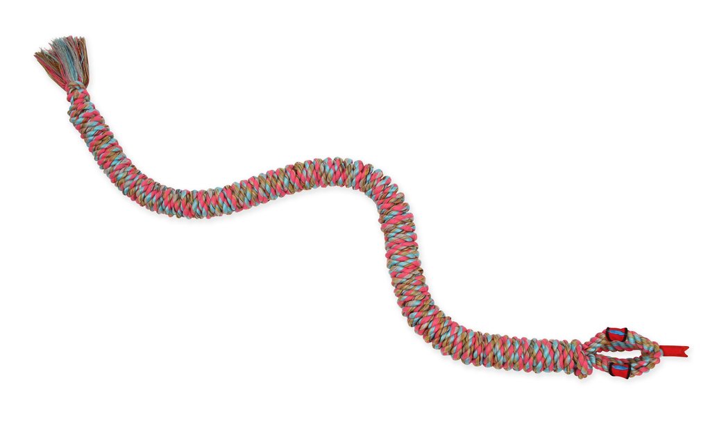 MAMMOTH SnakeBiter Snake Rope Dog Toy, Color Varies, Large - Chewy.com