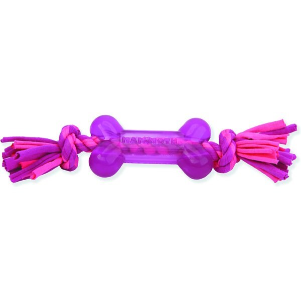 MAMMOTH Cloth Rope Bone for Dogs, Color Varies, Medium - Chewy.com