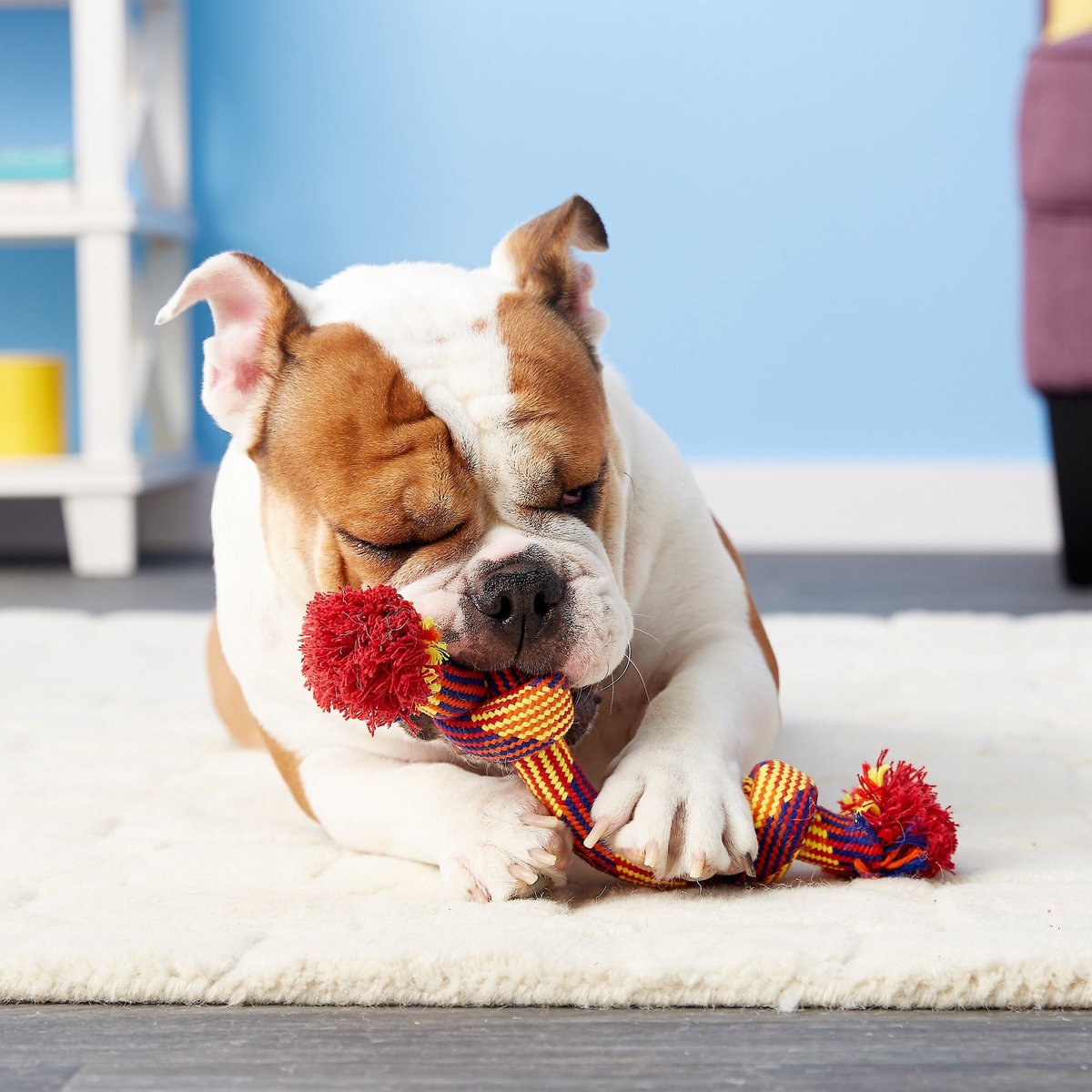 MAMMOTH Braidys 2 Knot Rope Bone for Dogs, Color Varies, Medium - Chewy.com