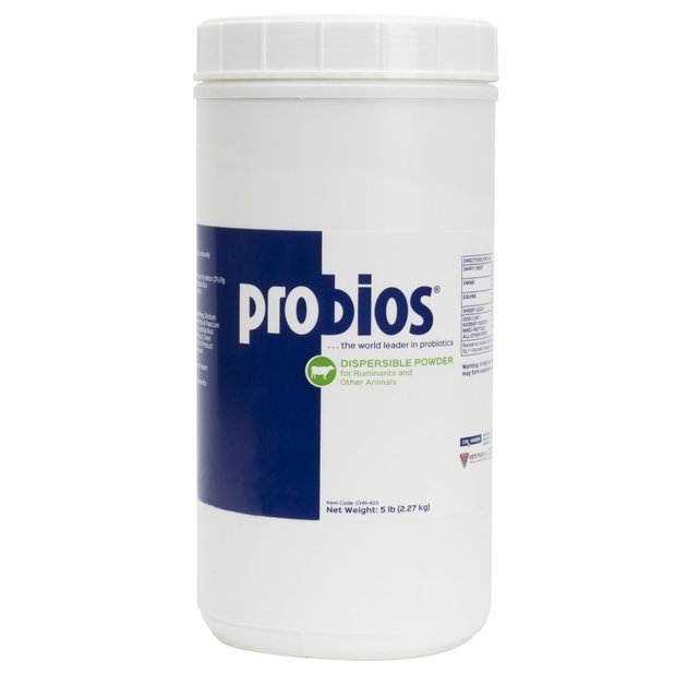 PROBIOS Dispersible Powder Supplement, 5-lb jar - Chewy.com