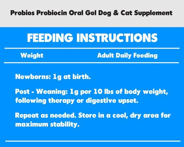 PROBIOS Probiocin Oral Gel Dog & Cat Supplement, 15g syringe - Chewy.com