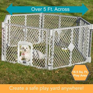10 Best Plastic Dog Pens 2025: According to Reviews | Chewy