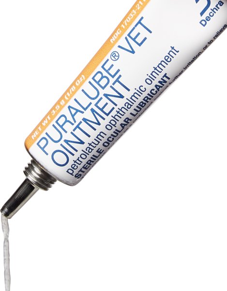 PURALUBE Vet Ointment Sterile Ocular Lubricant for Dogs & Cats, 3.5g ...