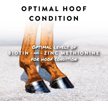 Temporarily Unavailable - MANNA PRO Sho-Hoof Biotin & Zinc Methionine ...