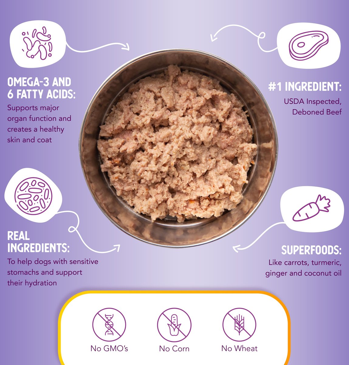 HEALTH EXTENSION Digestive Support Beef & Carrot Entrée in Gravy Dog ...