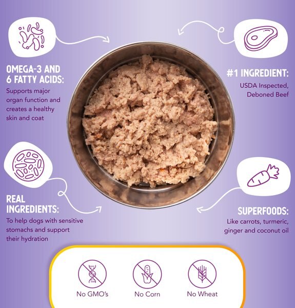 HEALTH EXTENSION Digestive Support Beef & Carrot Entrée in Gravy Dog ...