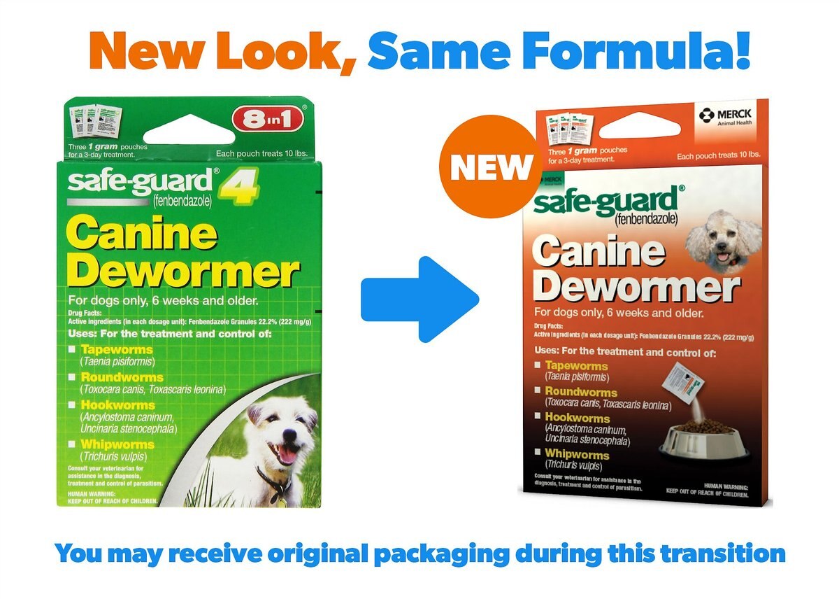 New Version Available - SAFE-GUARD Dewormer for Hookworms, Roundworms ...