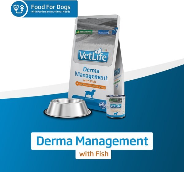FARMINA VET LIFE Derma Management with Fish Recipe In Gravy Wet Dog ...