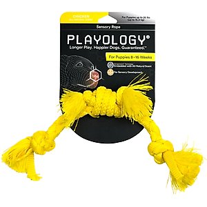 PLAYOLOGY Puppy Sensory Rope Chicken Dog Toy, Yellow, Small - Chewy.com