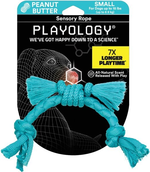 PLAYOLOGY Puppy Sensory Rope Peanut Butter Dog Toy, Blue, Small - Chewy.com