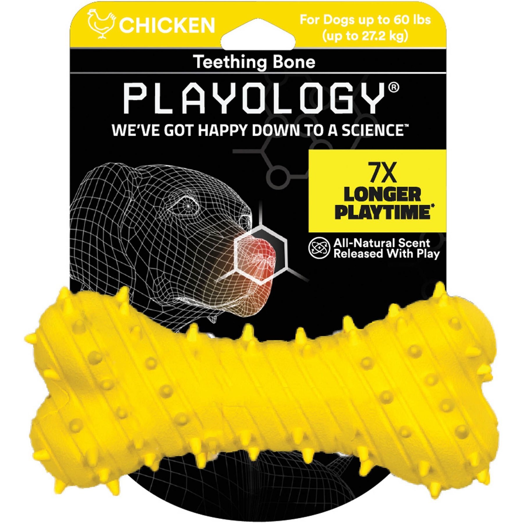PLAYOLOGY Puppy Teething Bone Chicken Dog Toy, Yellow, Large - Chewy.com