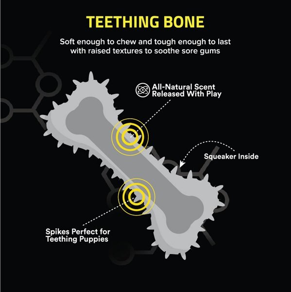 PLAYOLOGY Puppy Teething Bone Chicken Dog Toy, Yellow, Large - Chewy.com