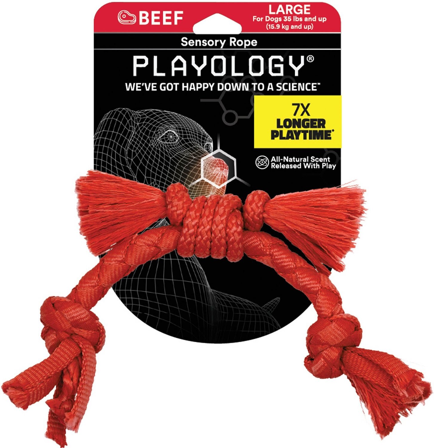 PLAYOLOGY Puppy Sensory Rope Beef Dog Toy, Red, Small - Chewy.com