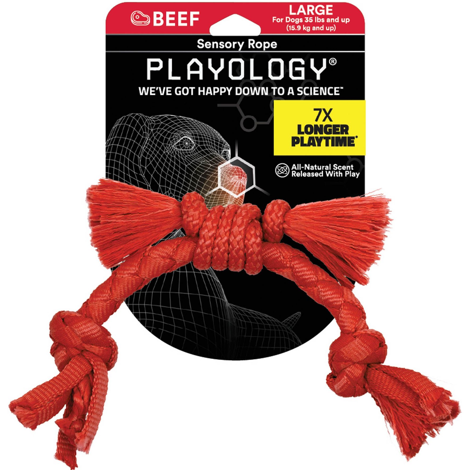 PLAYOLOGY Puppy Sensory Rope Beef Dog Toy, Red, Small - Chewy.com