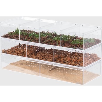 GLASS SNAKE TANKS (Free Shipping) | Chewy