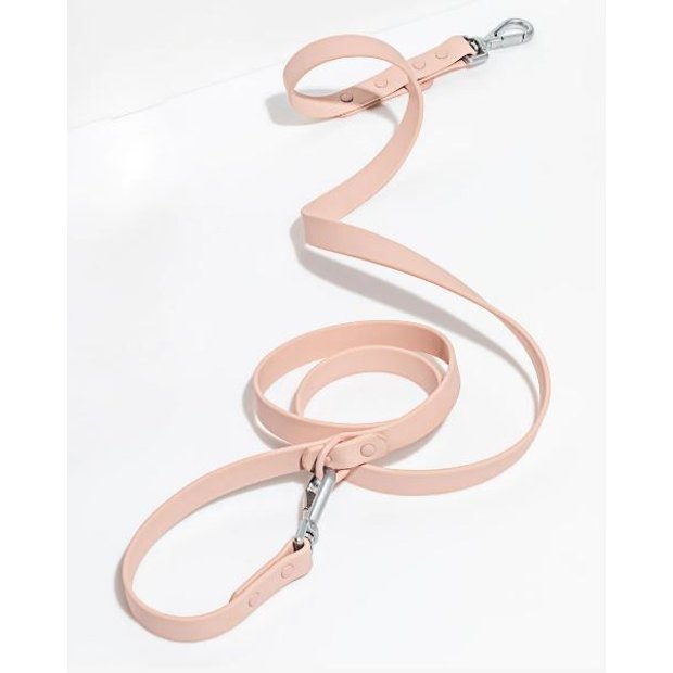 LARGE DOG LEASHES (Free Shipping) | Chewy