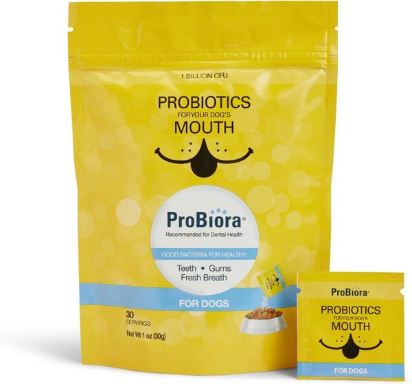 PROBIORA Probiotic Oral Care Dog Supplement, 1-oz bag - Chewy.com