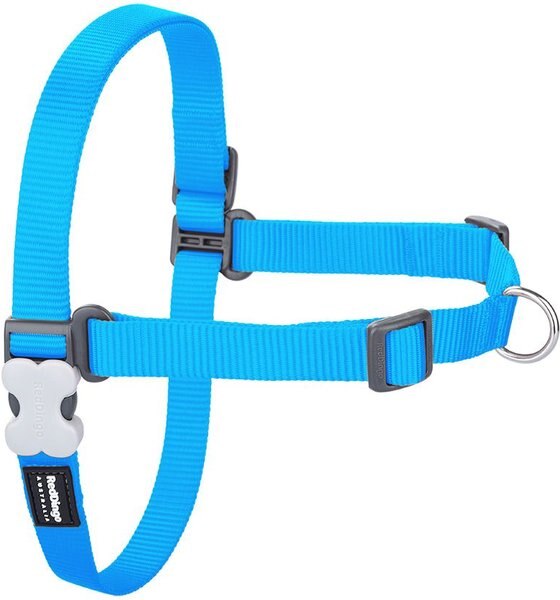 RED DINGO No Pull Dog Harness, Turquoise, Small/Medium - Chewy.com