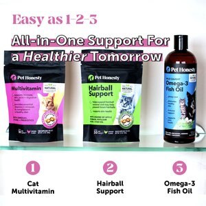 10 Best Multivitamins for Cats 2024: According to Reviews | Chewy