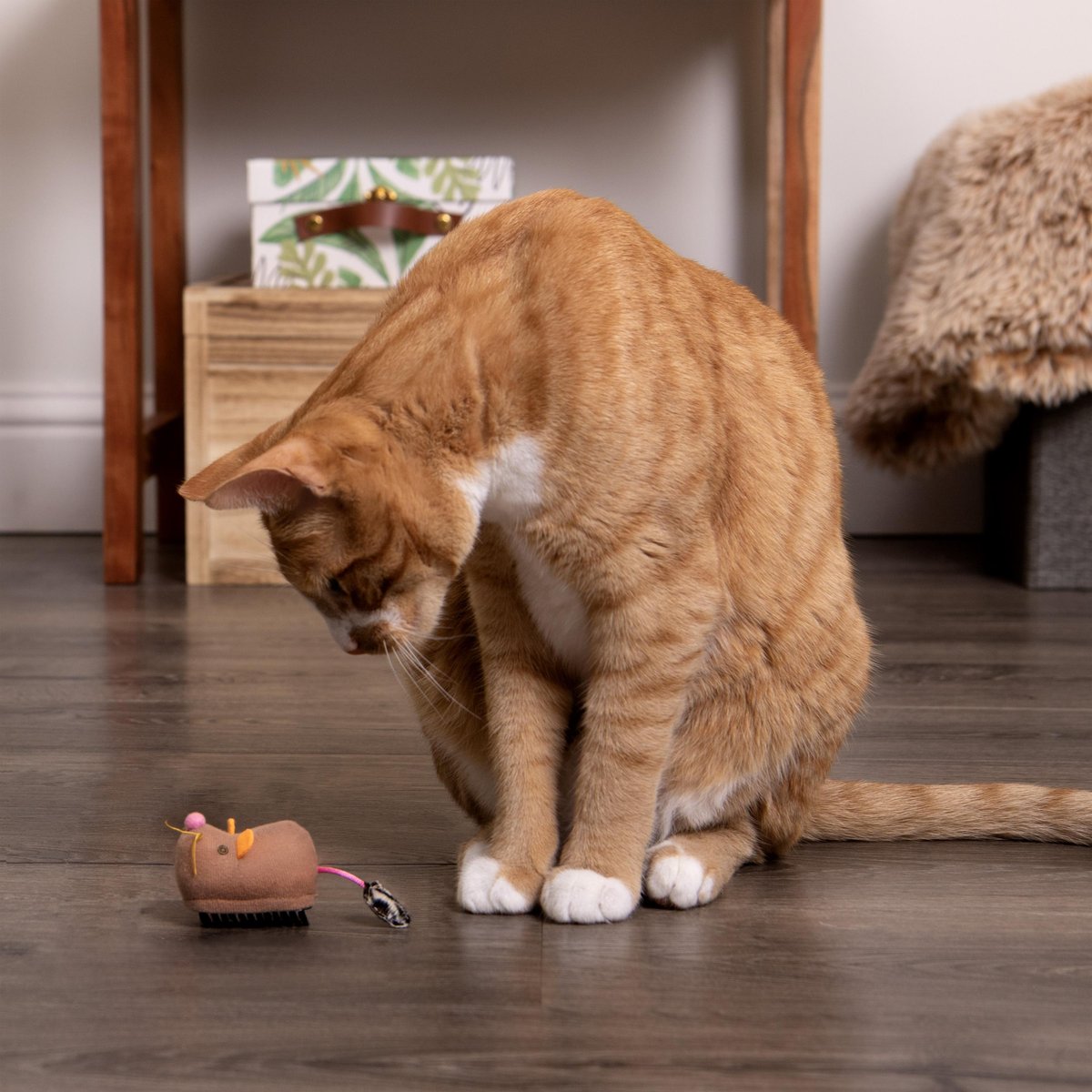 SMARTYKAT Instincts Meandering Mouse Motion Battery Powered Plush Cat ...