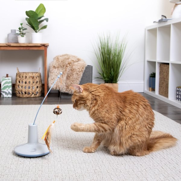 SMARTYKAT Instincts Wild Wand Electronic Motion Cat Toy - Chewy.com