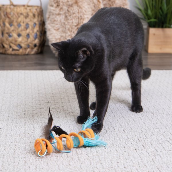 SMARTYKAT Instincts Crazy Coil Springy Cat Toy with Fringe & Detachable ...