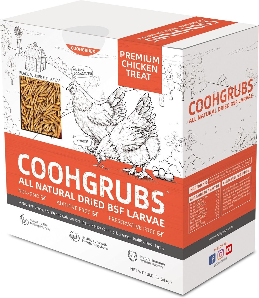COOHGRUBS Dried Black Soldier Fly Larvae Bird Treat, 10-lb box - Chewy.com