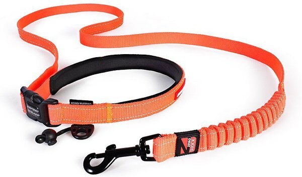 EZYDOG Road Runner Dog Leash, Orange - Chewy.com