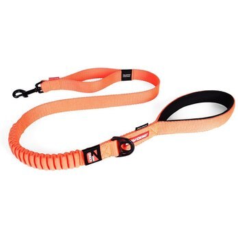 Double Handle Dog Leashes (Free Shipping) | Chewy