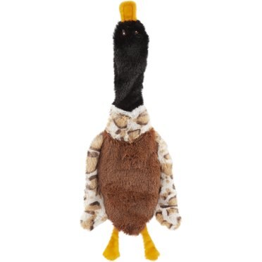 No Stuffing Dog Toys - Page 3 (Free Shipping) | Chewy