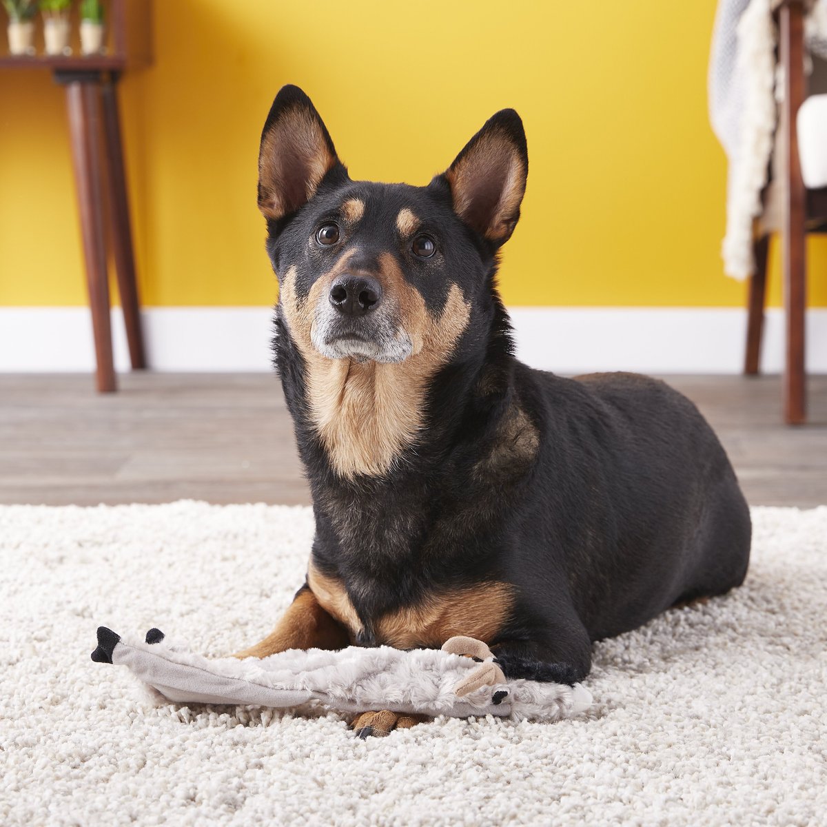 ETHICAL PET Skinneeez Crinklers Goat Stuffing-Free Squeaky Plush Dog ...