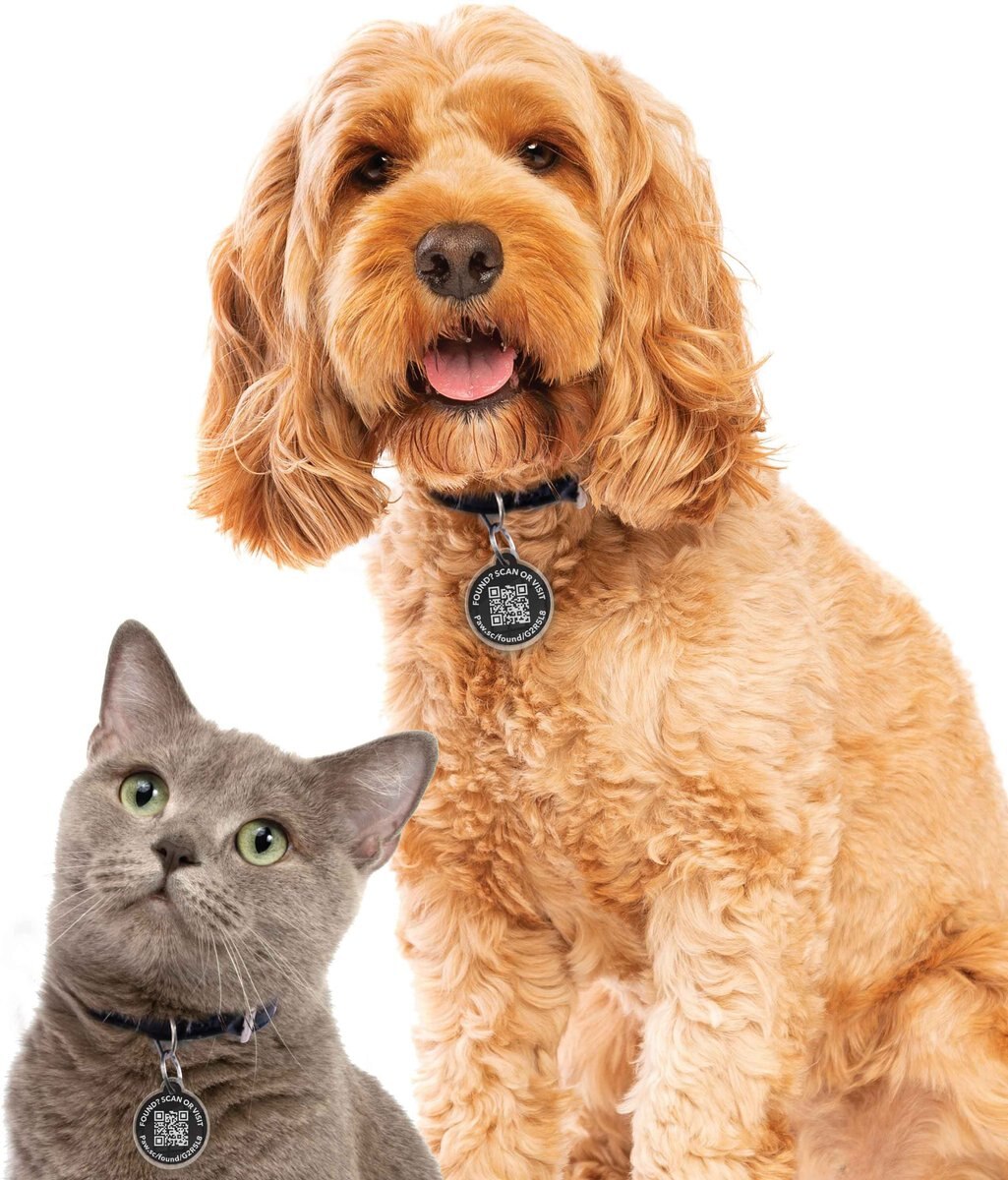 PAWSCOUT QR Smart Dog & Cat Tag - Chewy.com