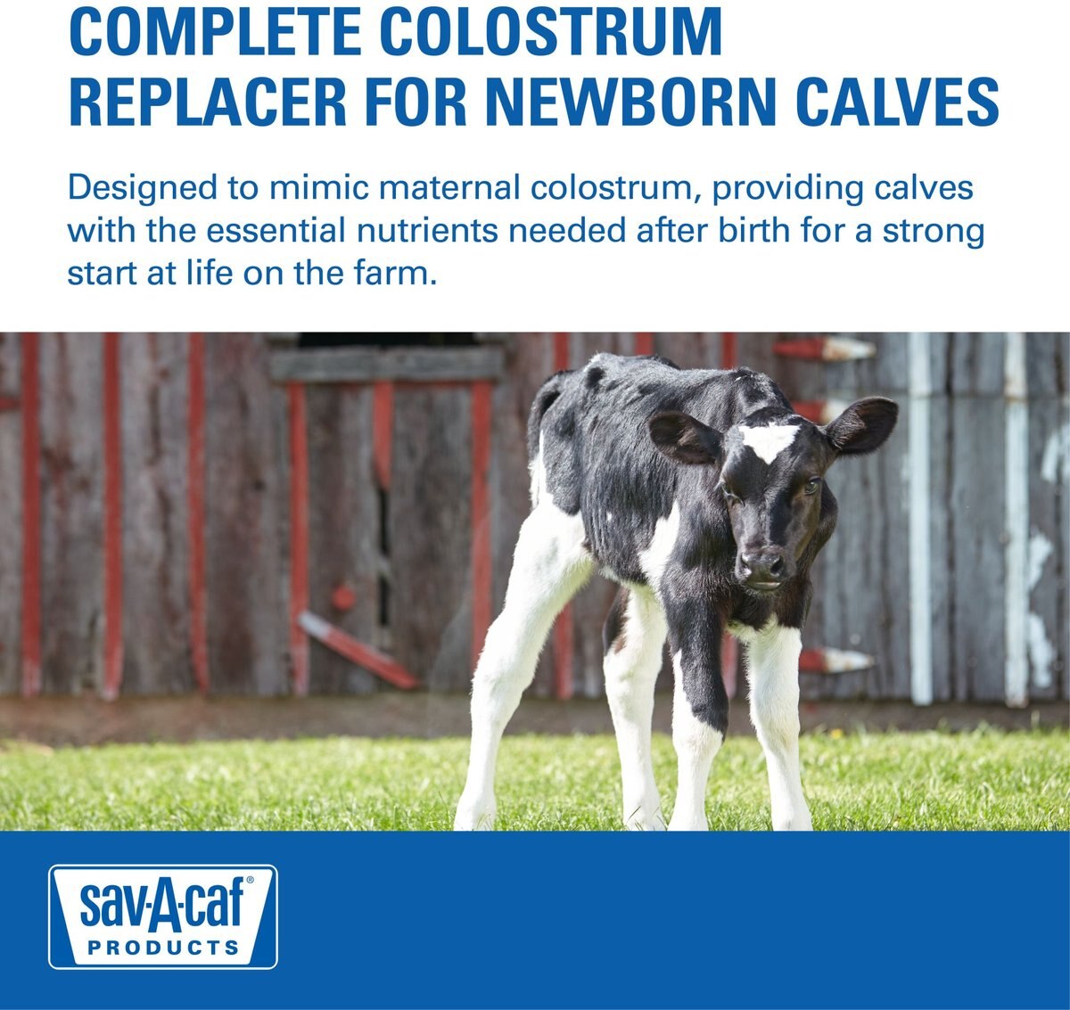 Out of Stock - SAV-A-CAF Colostrum Cattle Supplement, 16-oz bag - Chewy.com
