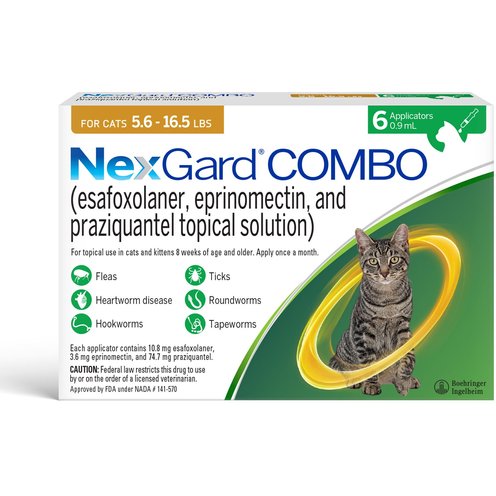 ROUNDWORM MEDICINE FOR CATS (Free Shipping) | Chewy