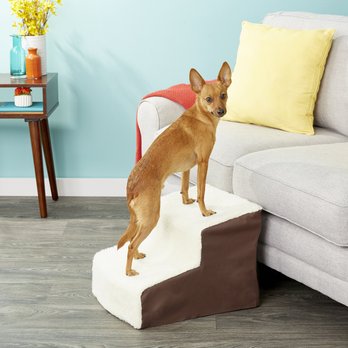 2 STEP DOG STAIRS (Free Shipping) | Chewy