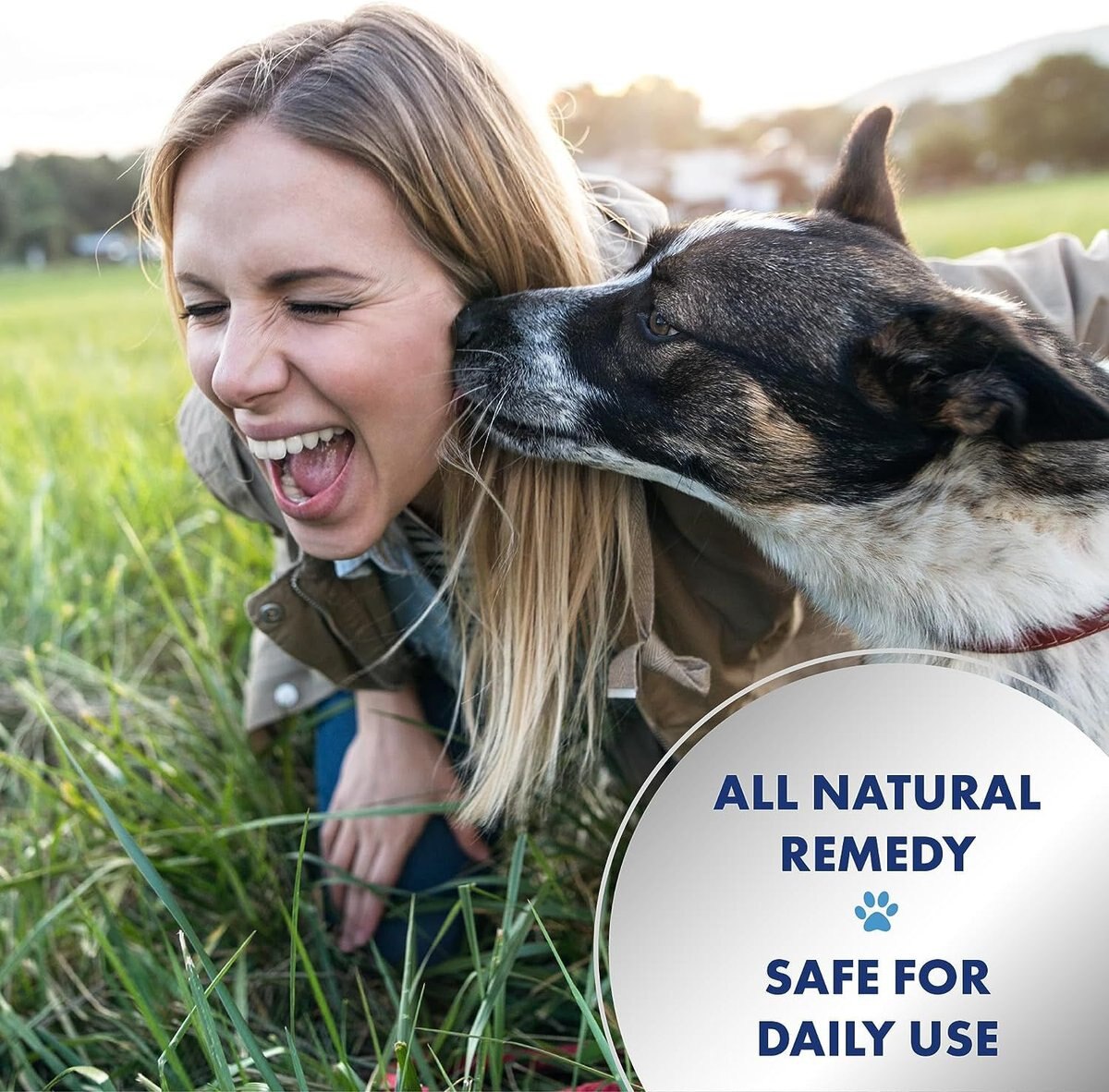 PETSILVER Teeth & Gum All Natural Water Additive, 12-fl oz bottle ...