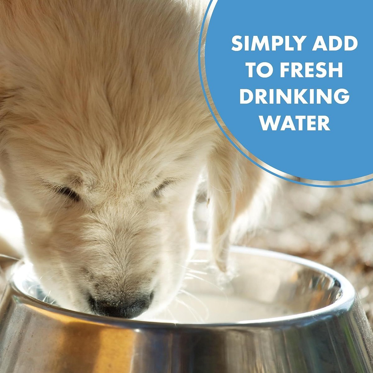 PETSILVER Teeth & Gum All Natural Water Additive, 12-fl oz bottle ...